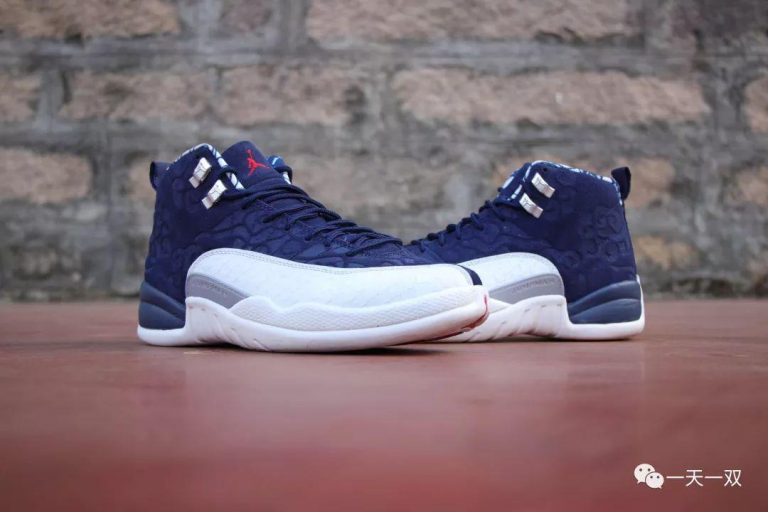 Air Jordan 12 “International Pack” Performance Review – The Sole Line